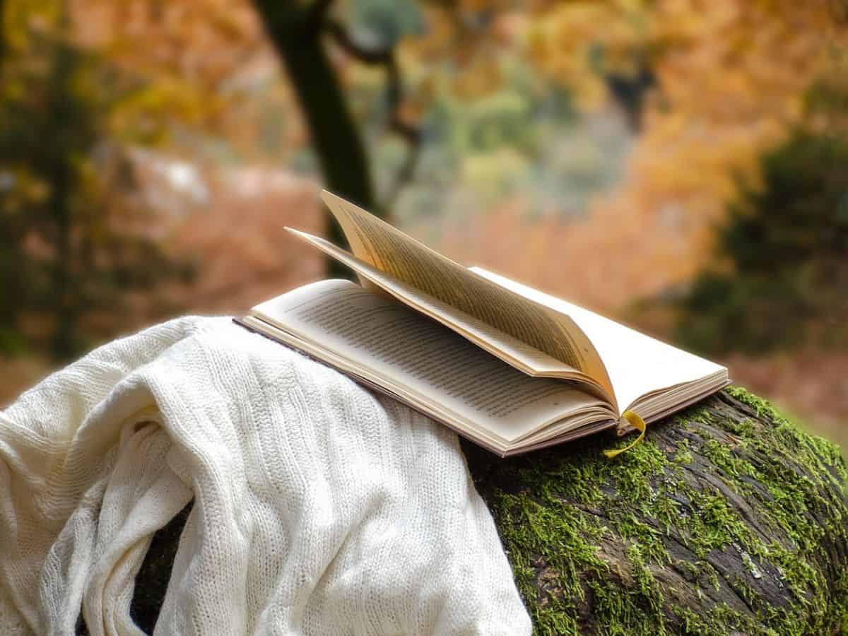 Daily Reflections for Personal Growth - Premise Content